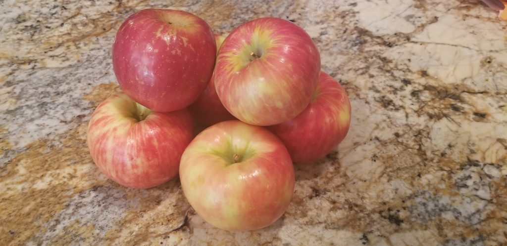Favorite Apple Recipes for Fall – Momleficent