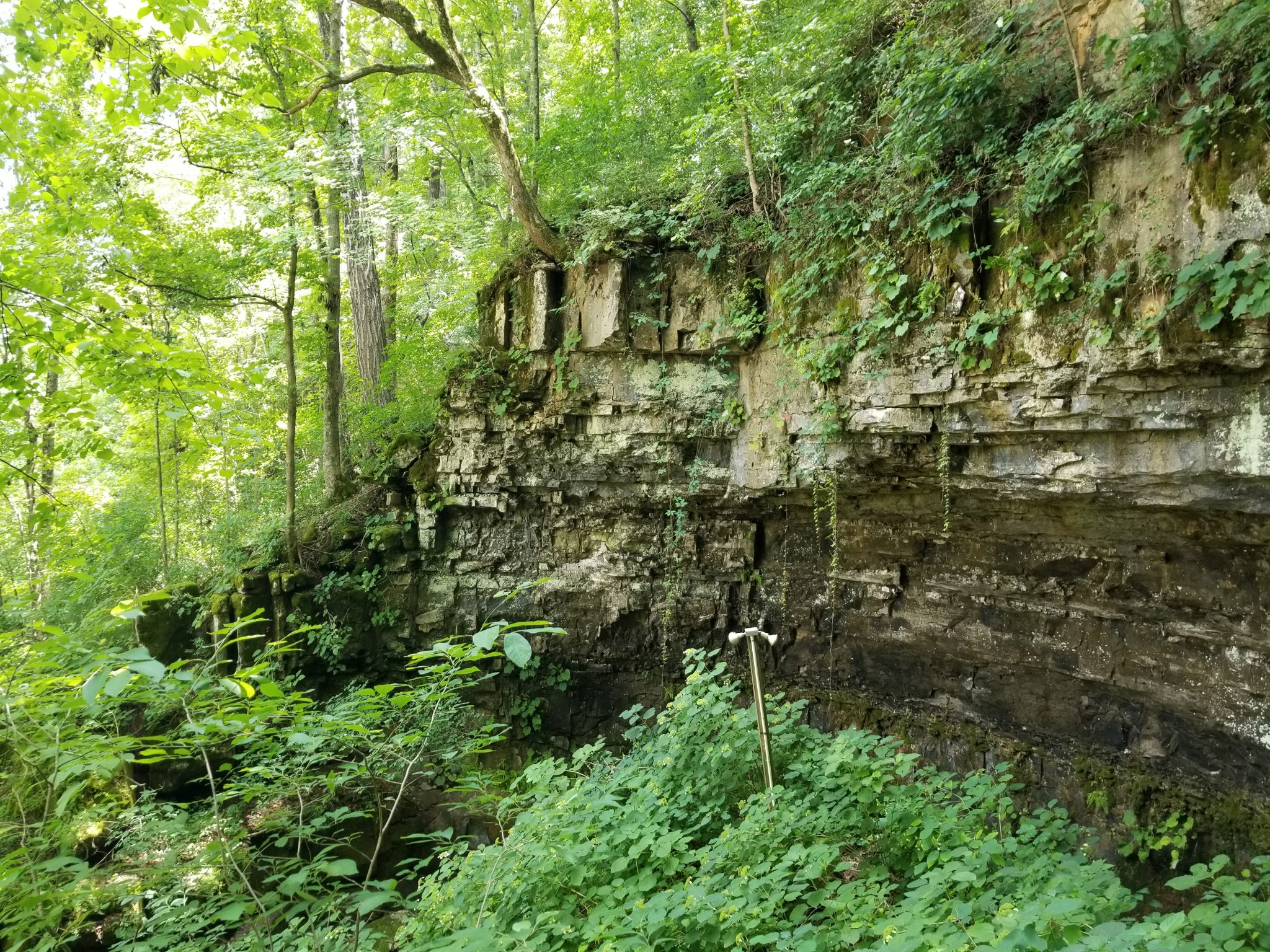 Exploring The Bell Witch Farm and Cave for Some Spooky Fun! – Momleficent