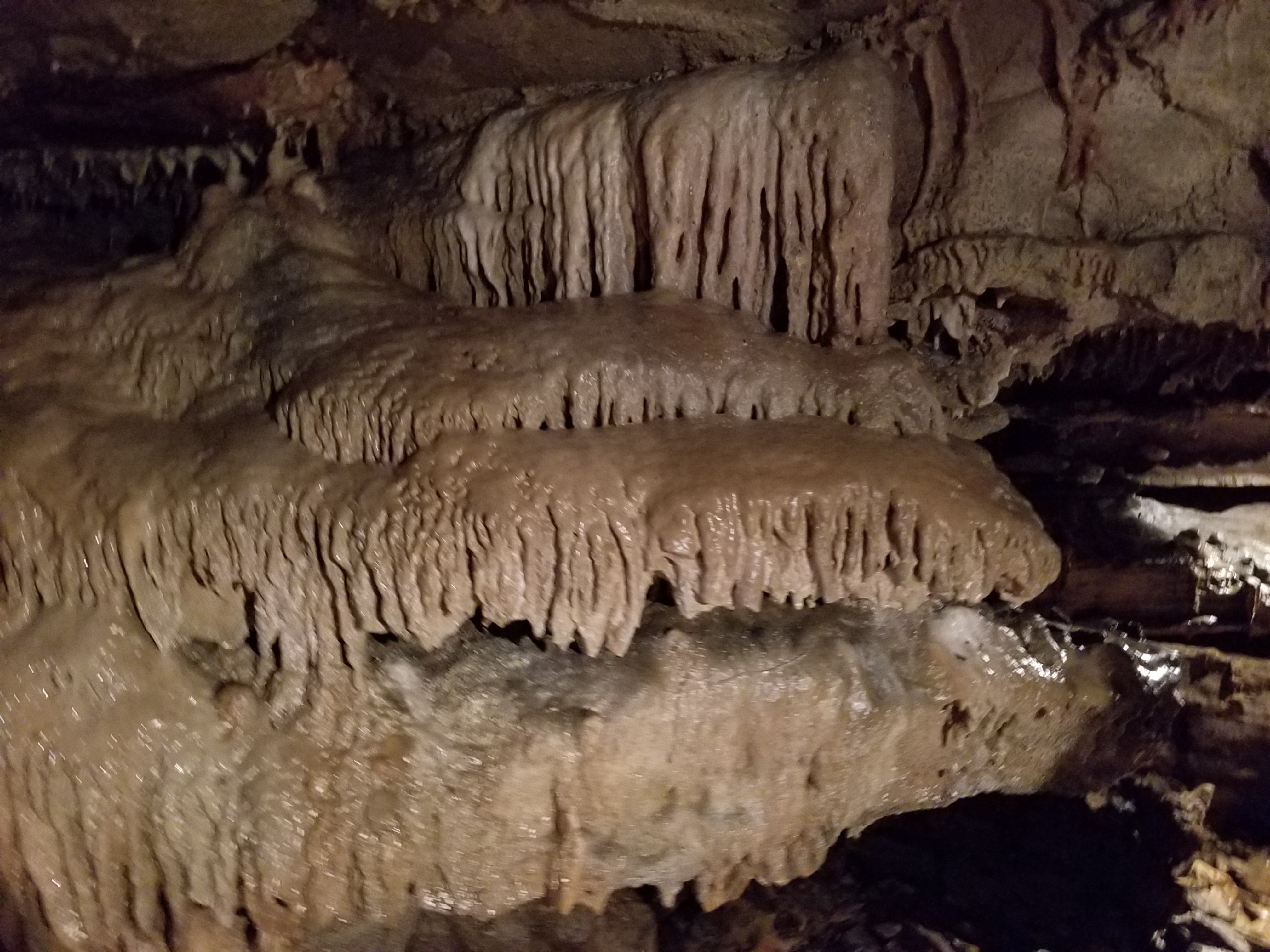 Exploring The Bell Witch Farm and Cave for Some Spooky Fun! – Momleficent